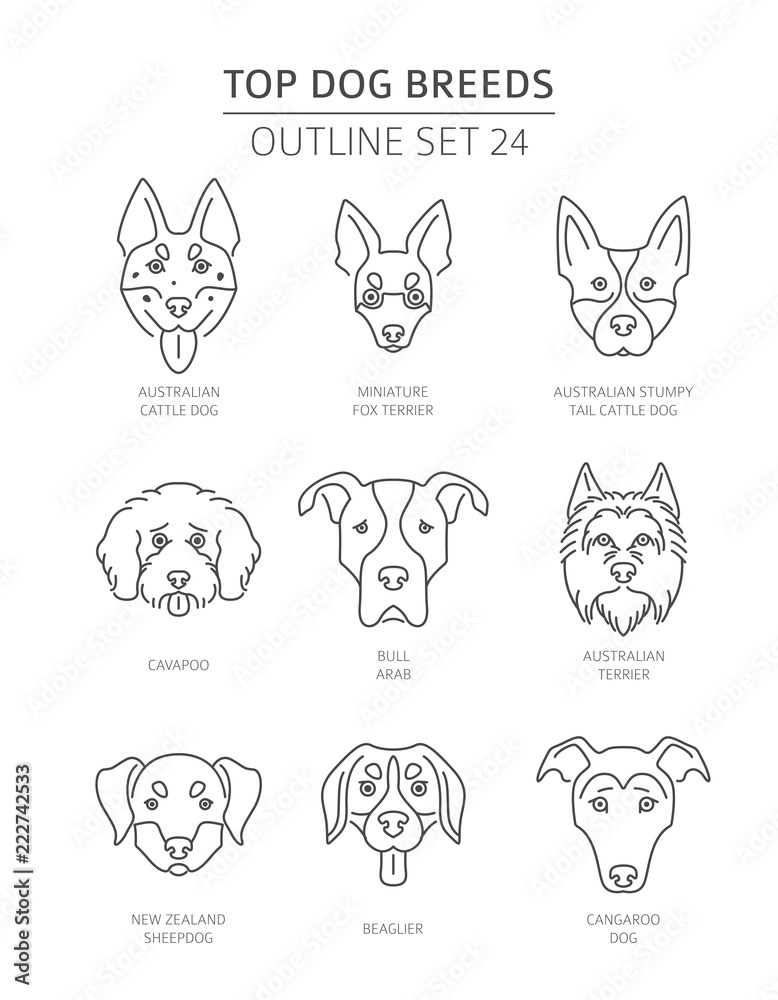 Top dog breeds. Pet outline collection. Vector illustration Stock ...