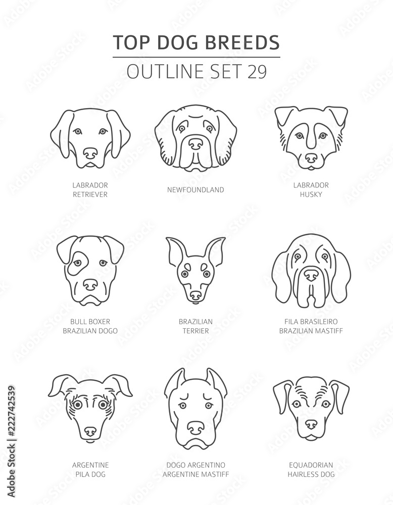 Top dog breeds. Pet outline collection. Vector illustration Stock ...