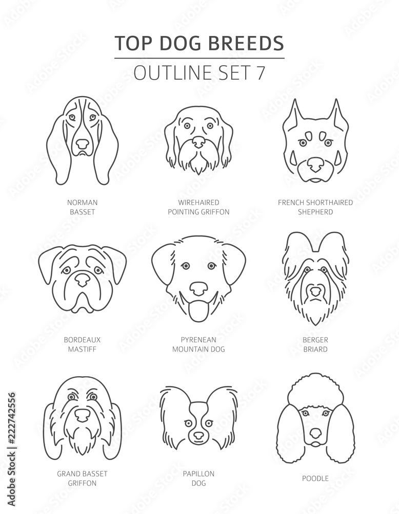 Top dog breeds. Pet outline collection. Vector illustration Stock ...