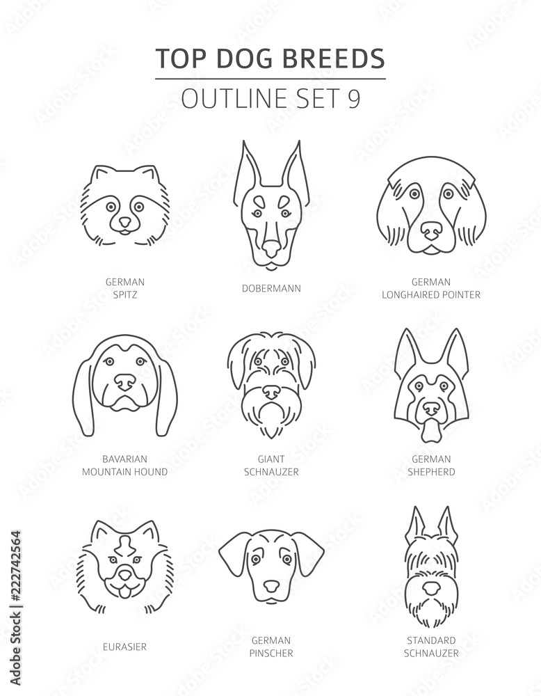 Top dog breeds. Pet outline collection. Vector illustration Stock ...