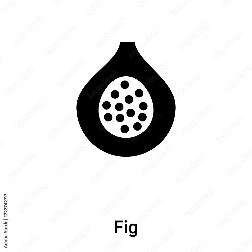 Fig icon vector isolated on white background, logo concept of Fig sign ...
