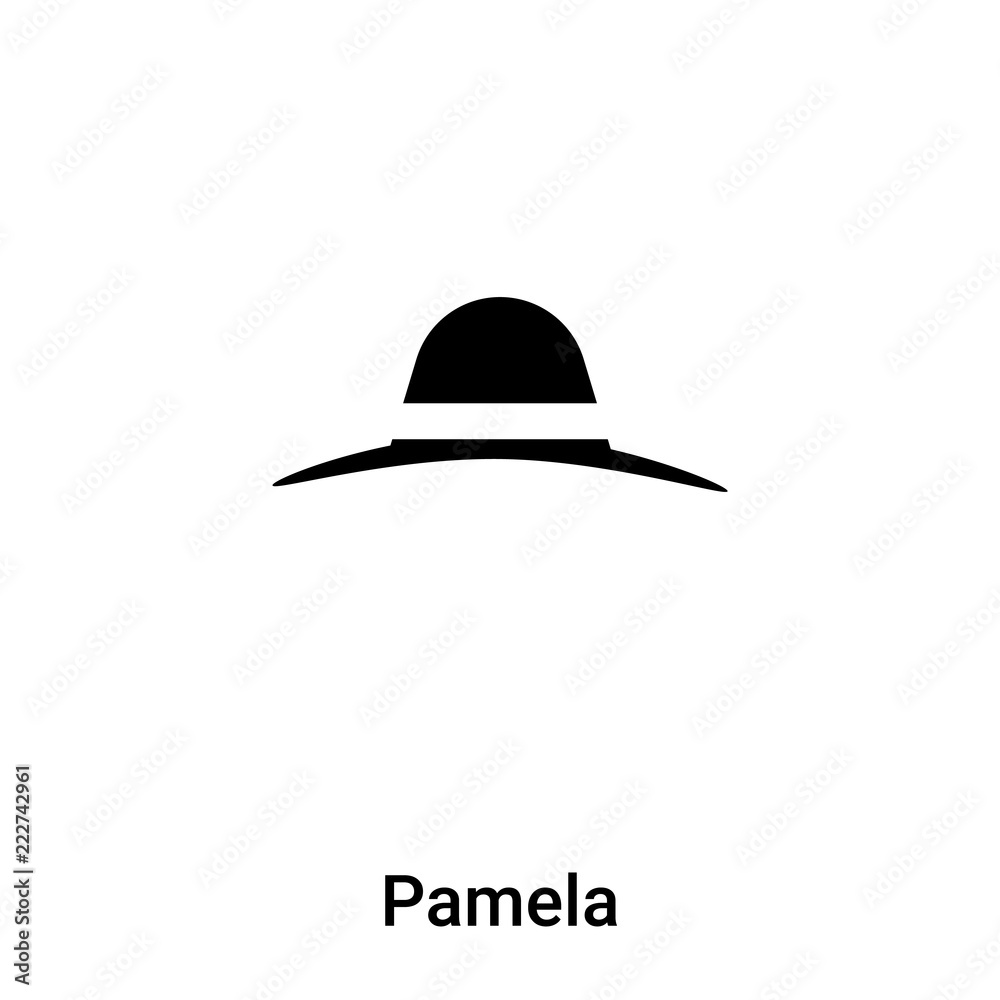 Pamela icon vector isolated on white background, logo concept of Pamela ...