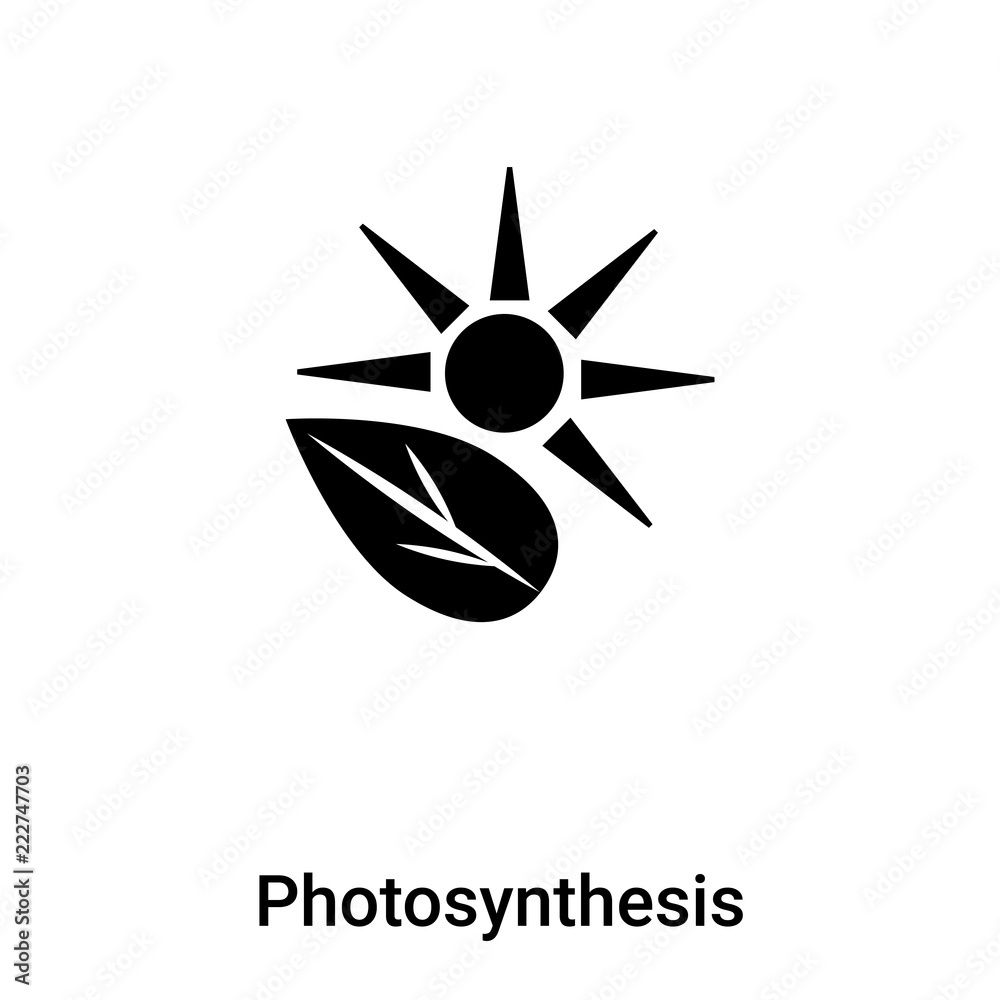 Photosynthesis icon vector isolated on white background, logo concept ...