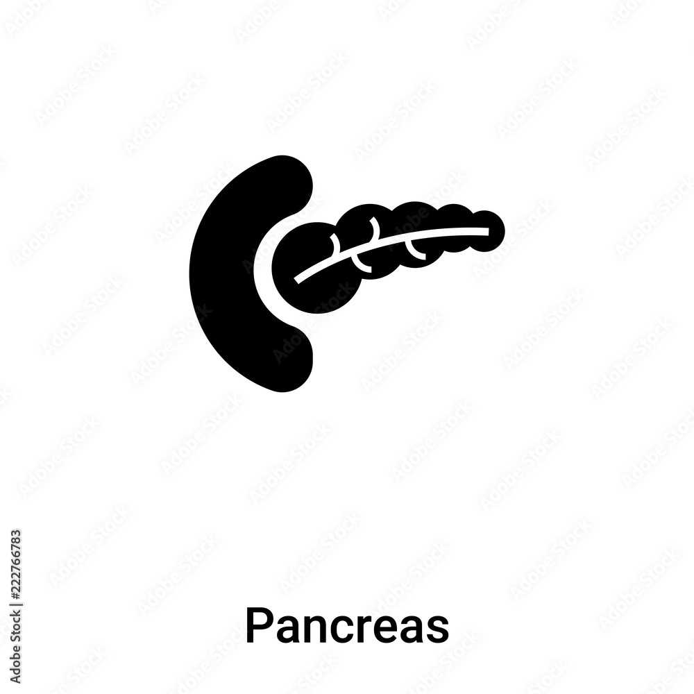 Pancreas icon vector isolated on white background, logo concept of ...