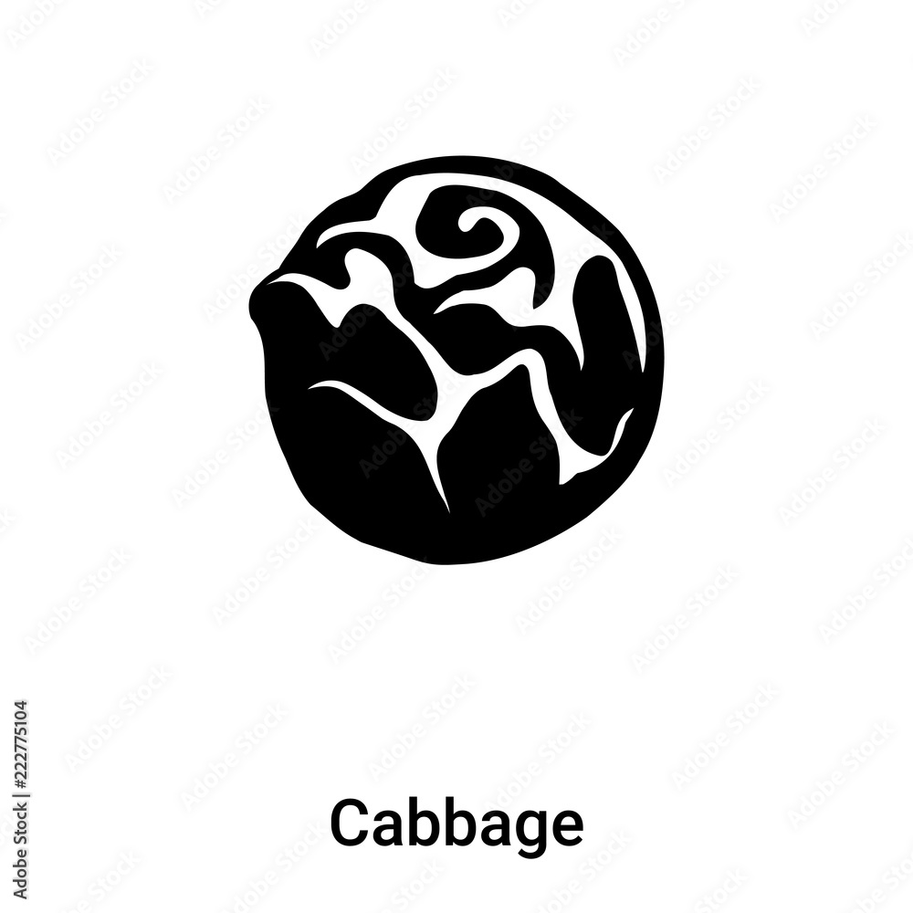 Cabbage icon vector isolated on white background, logo concept of ...