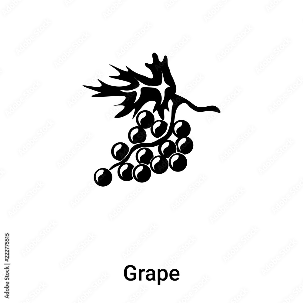 Grape icon vector isolated on white background, logo concept of Grape ...
