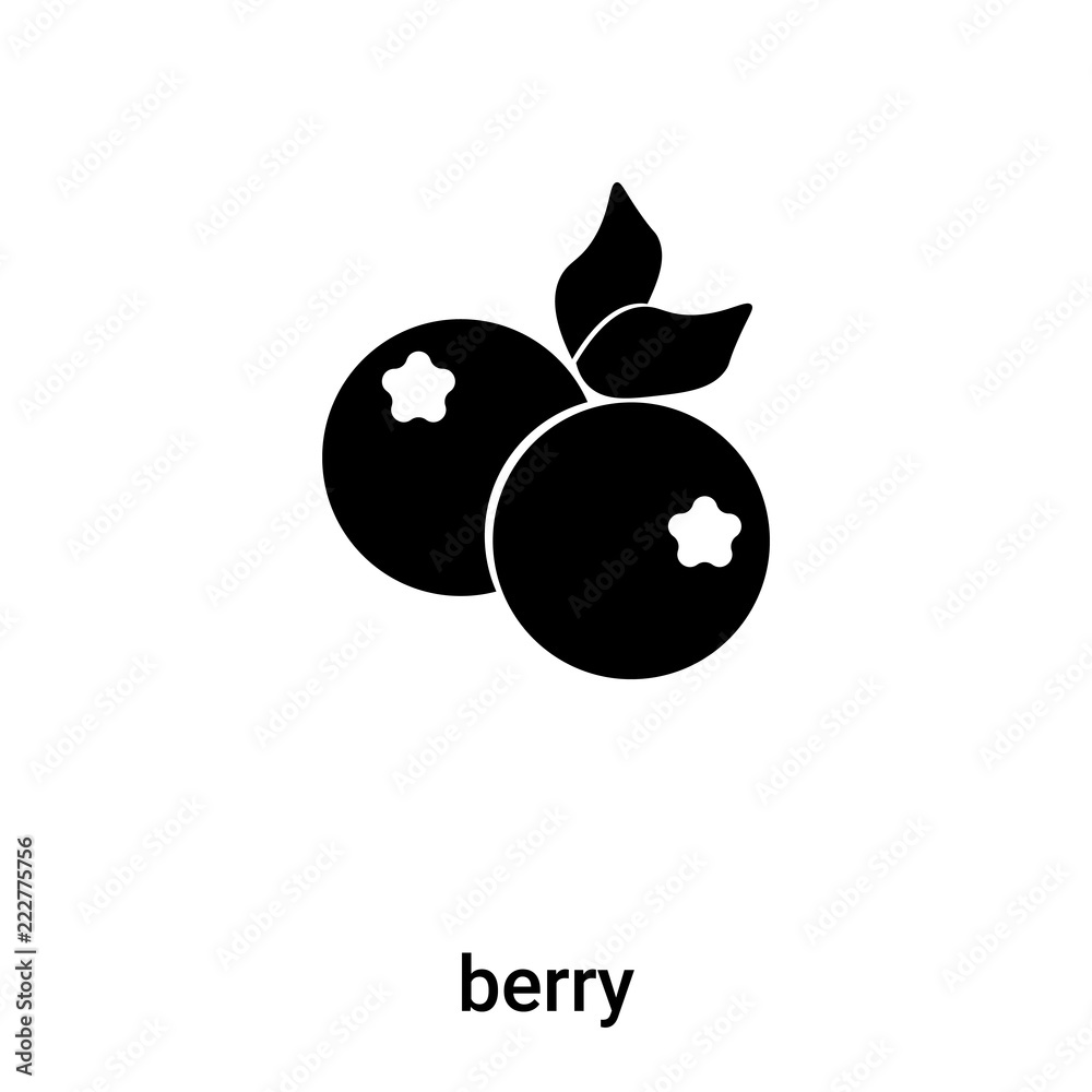 Blueberry icon vector isolated on white background, logo concept of ...