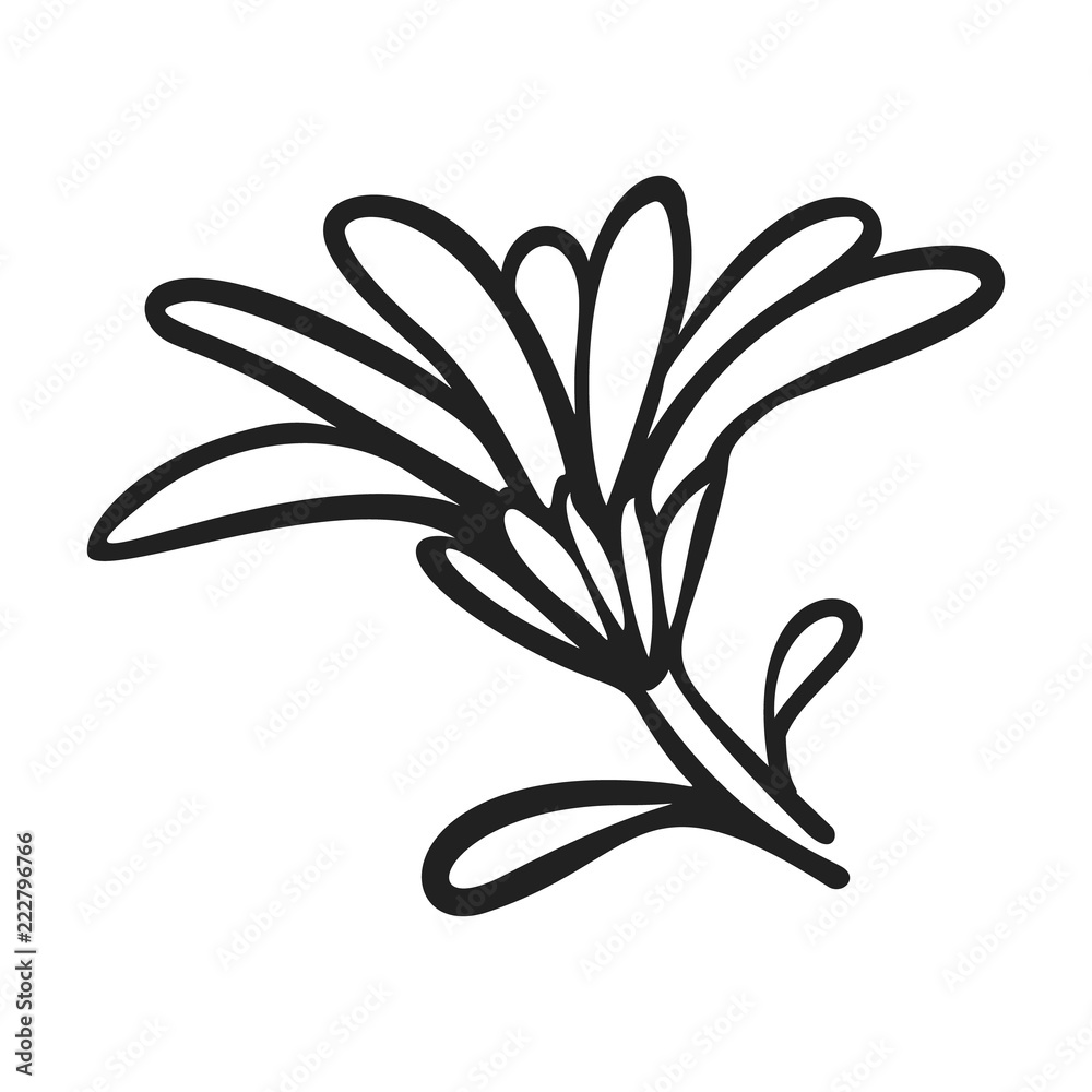 Calendula flower icon. Simple illustration of calendula flower vector ...