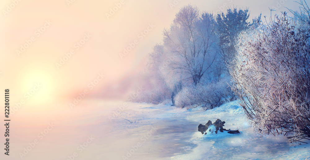 Beautiful winter landscape scene background with snow covered trees and ...