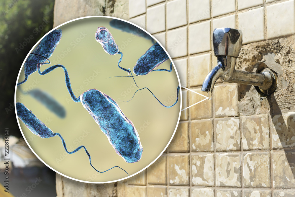 Cholera Bacteria In Water