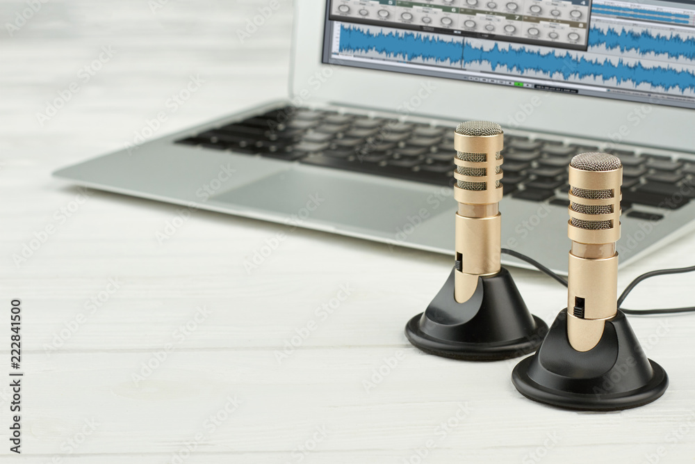 Stereo recorder microphones and laptop. Mini stereo microphones and ...