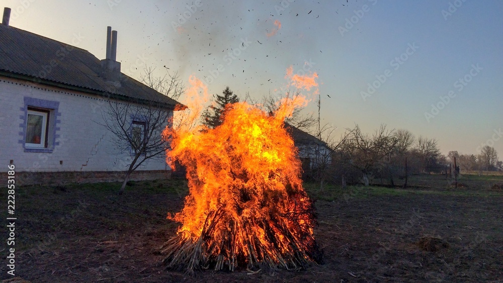 huge fire, huge bonfire near the shack, Ukrainian village, column of ...