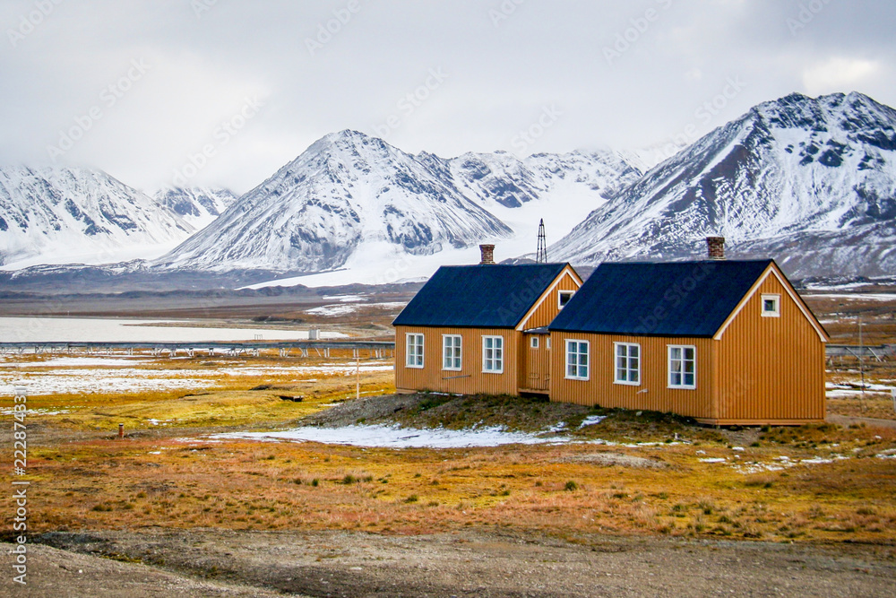 Yellow houses on yellow tundra grass with snowy mountains in the ...