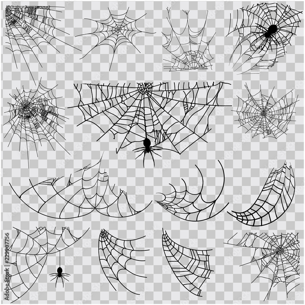 Vector illustration Halloween spider web isolated on transparent ...