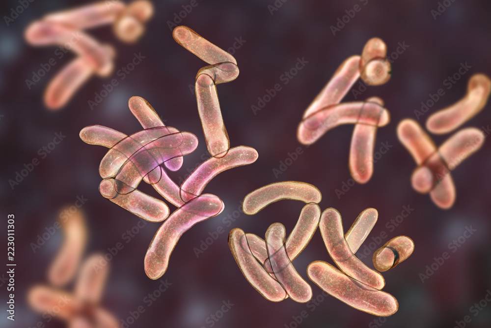 Vibrio cholerae bacteria, 3D illustration. Bacterium which causes ...