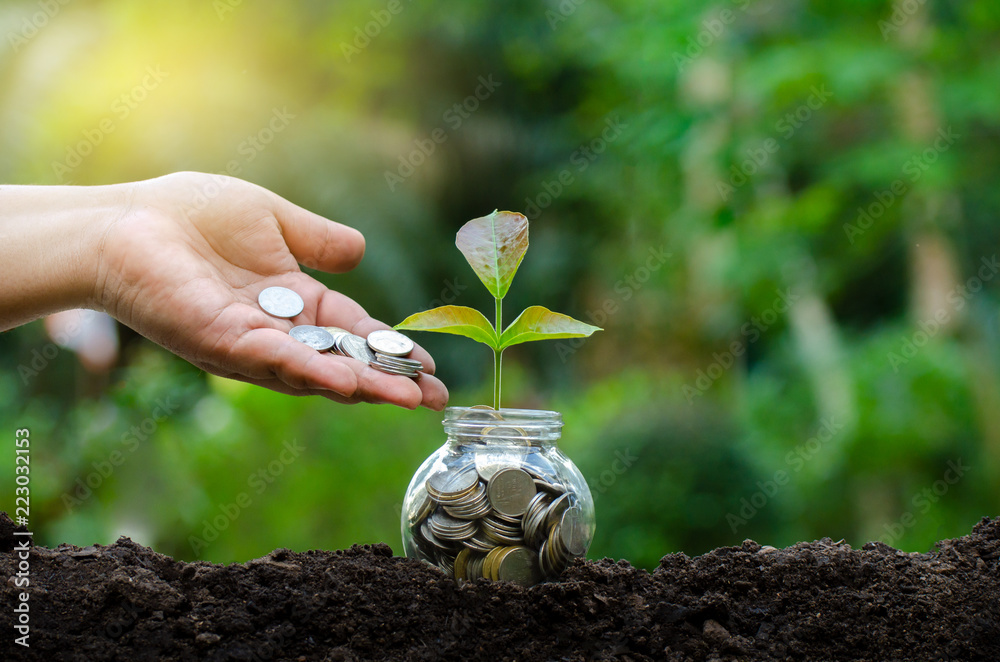 hand Put money Bottle Banknotes tree Image of bank note with plant ...