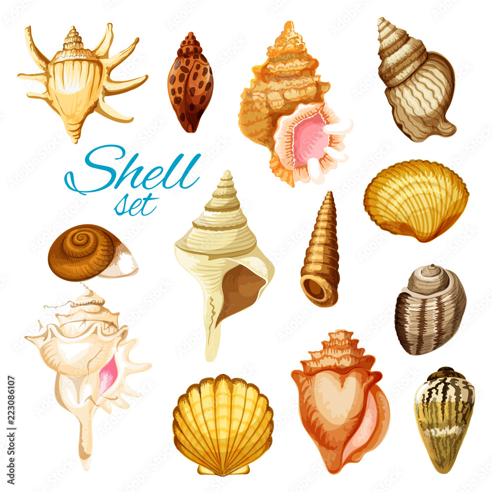 Cartoon seashell and sea mollusk animals Stock Vector | Adobe Stock