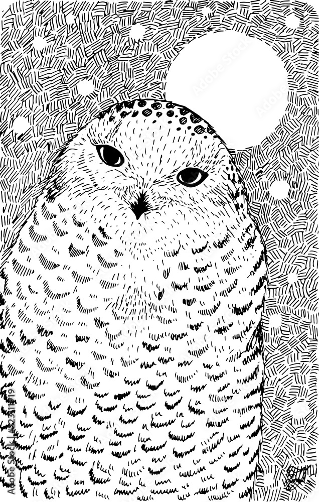 White polar owl - ink graphic drawing with wildlife. Bird and moon art ...