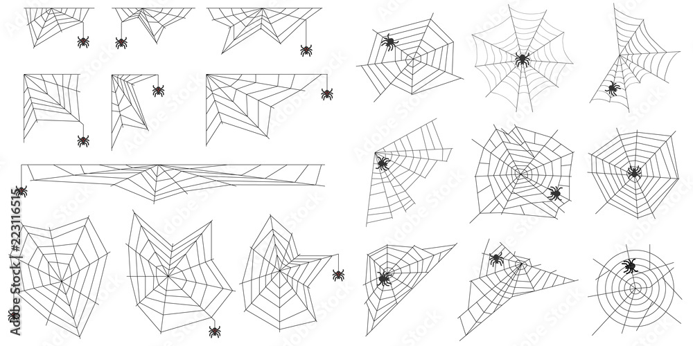 Cobweb spider cobwebs realistic. A spider weaves a spider web. Flat ...