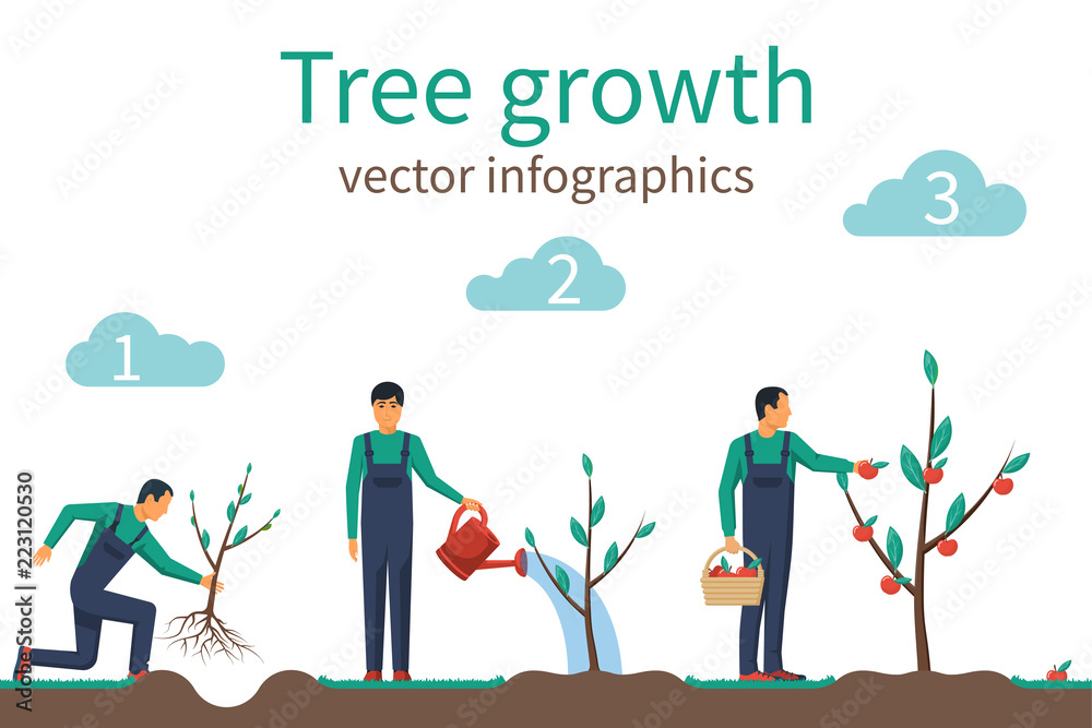 Types Of Tree Growth