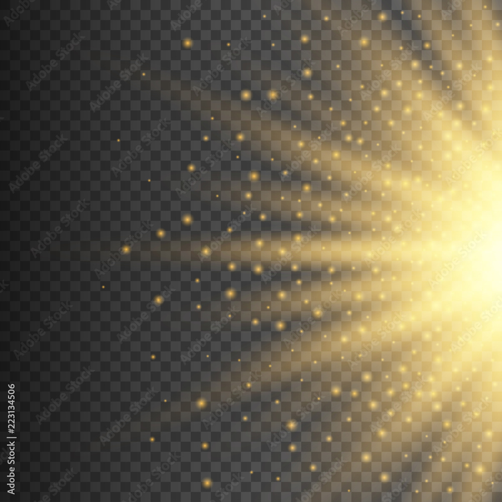 Realistic transparent yellow sun rays, warm orange flare effect ...