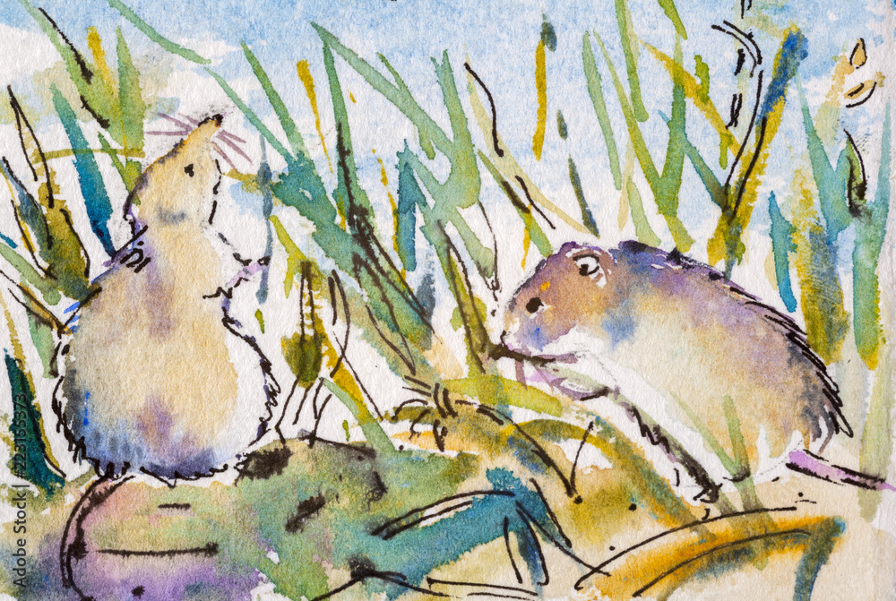 Details of watercolour painting studies for a wildlife illustration ...