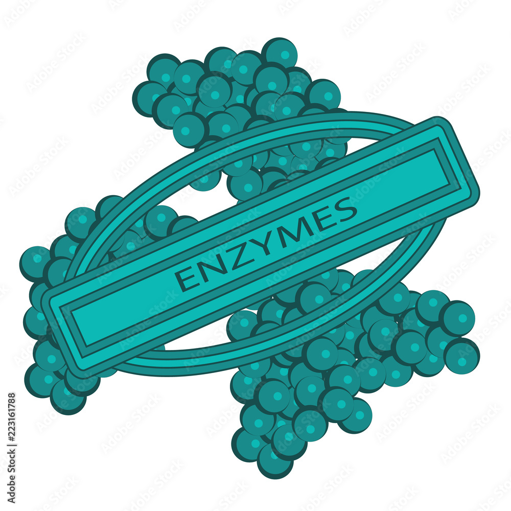 shape of Enzymes cells vector illustration Closeup view. Digestive ...