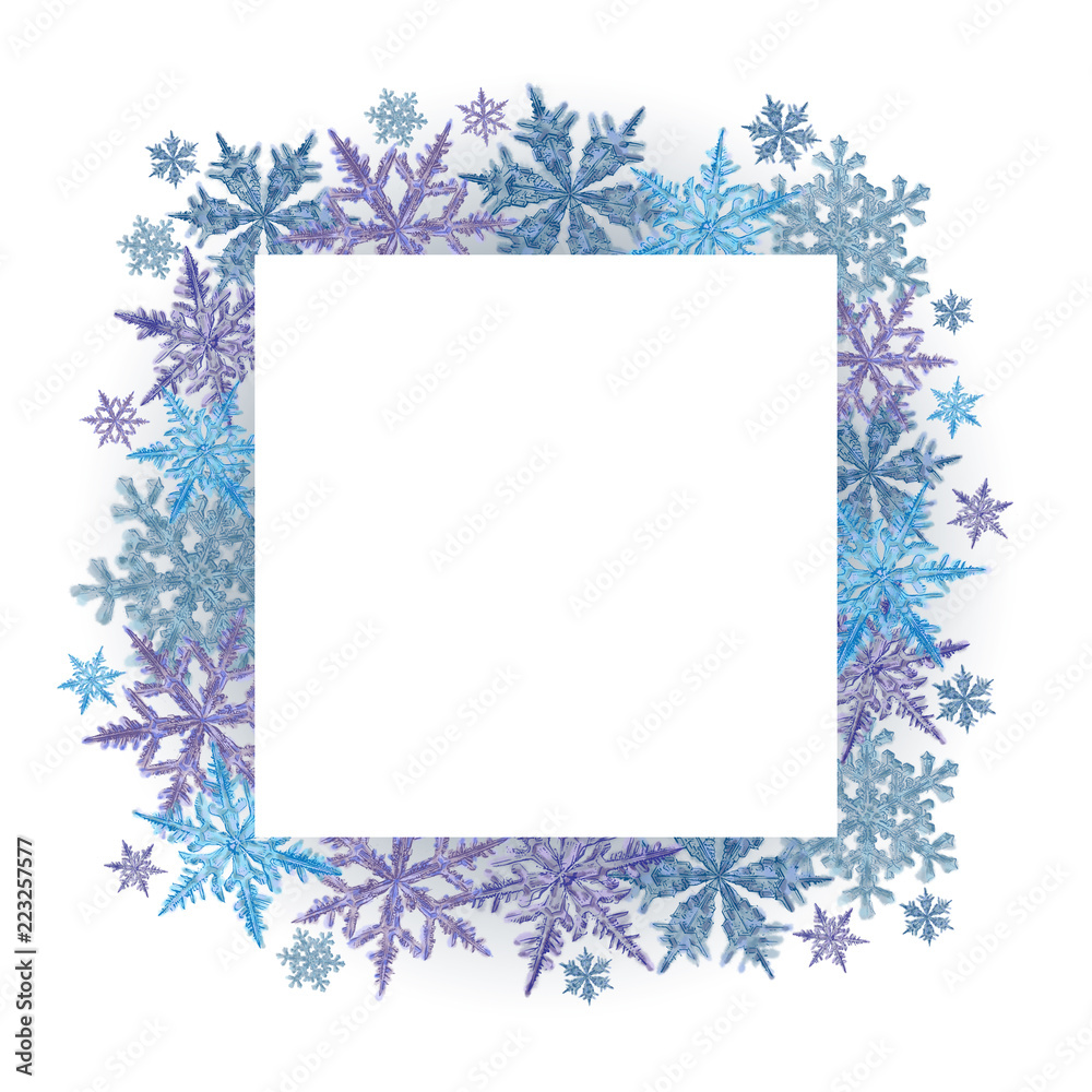 Snowflakes Square Template Isolated on White Background and with Text ...