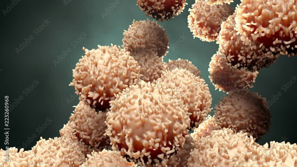 Cells under microscope in motioncells, cell, stem, cancer, human, 3d ...