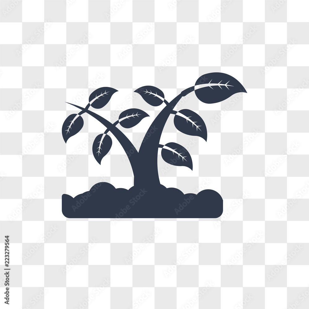 Growing Plant vector icon isolated on transparent background, Growing ...
