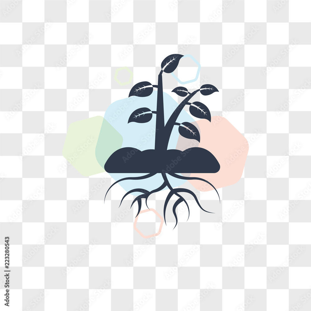 Plant and root vector icon isolated on transparent background, Plant ...