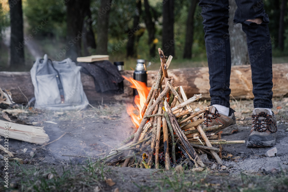 Burning campfire near a forest. Travelling into the wild concept ...