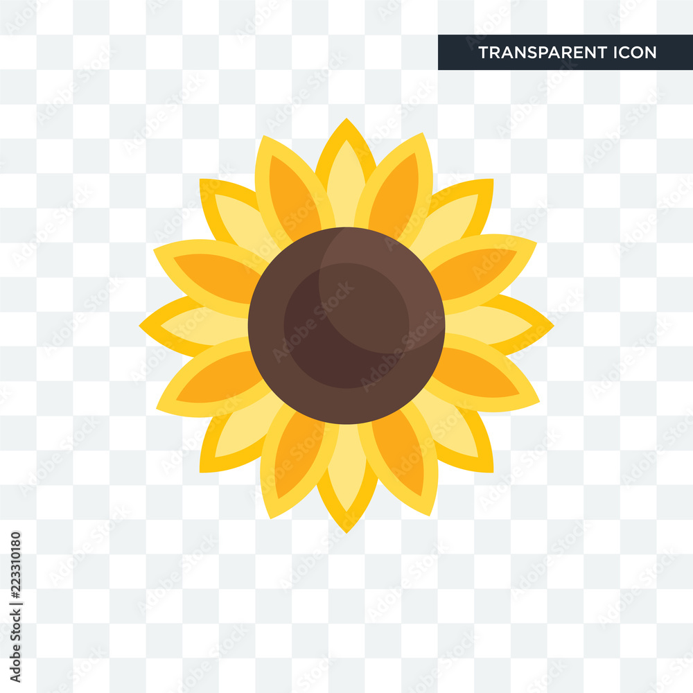 Sunflower vector icon isolated on transparent background, Sunflower ...