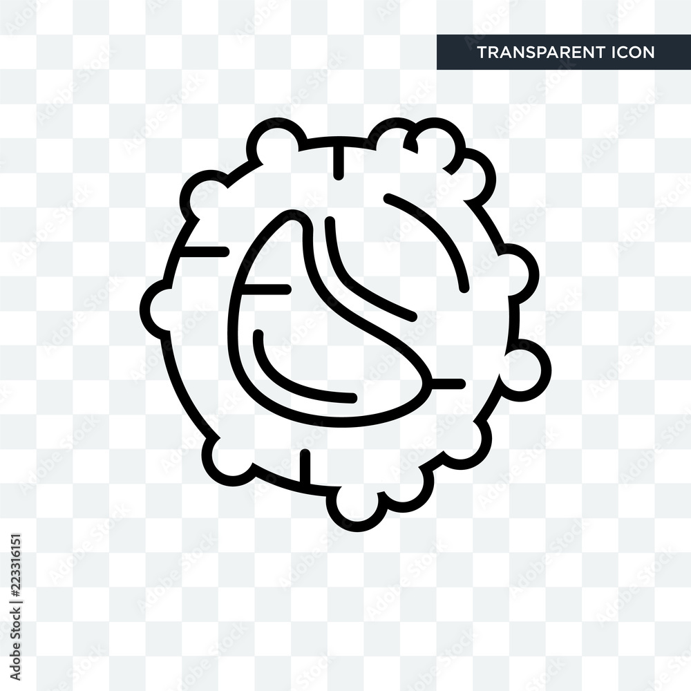 White blood cell vector icon isolated on transparent background, White ...