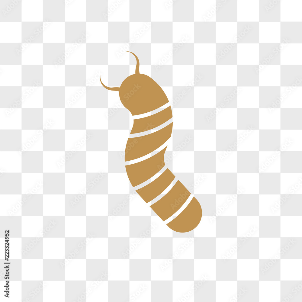 Grub vector icon isolated on transparent background, Grub logo design ...