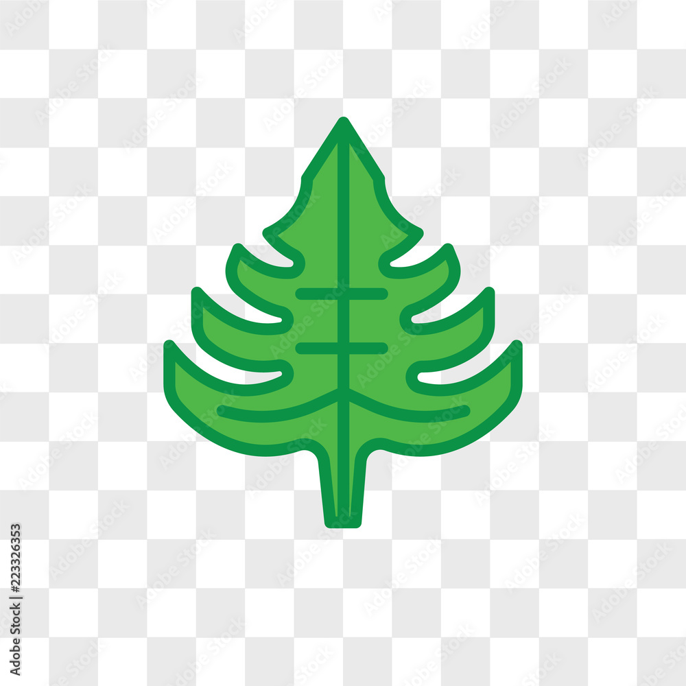 Philodendron vector icon isolated on transparent background ...