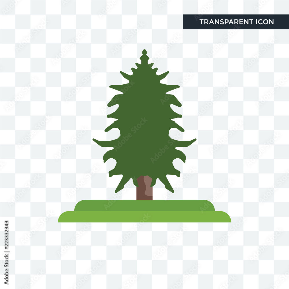 Eastern Hemlock tree vector icon isolated on transparent background ...