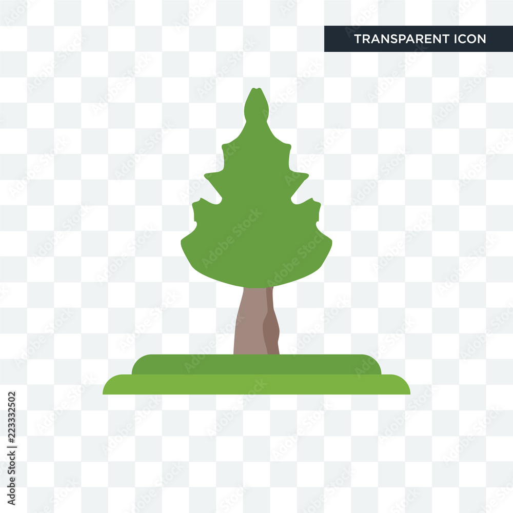 Cucumber Tree tree vector icon isolated on transparent background ...