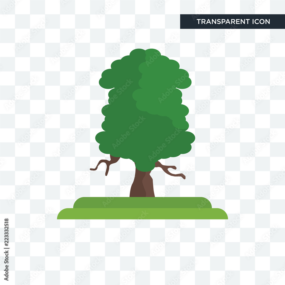 American Chestnut tree vector icon isolated on transparent background ...