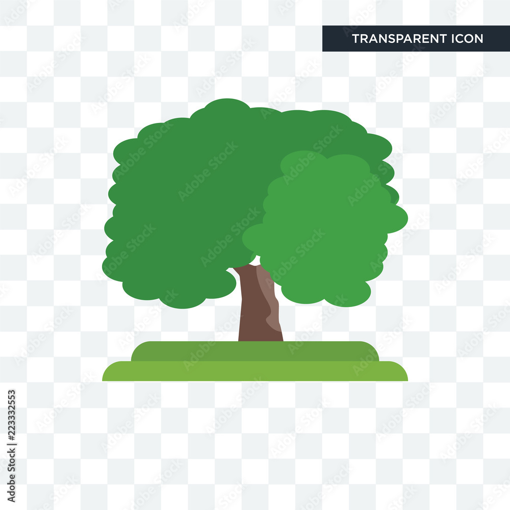 Butternut tree vector icon isolated on transparent background ...
