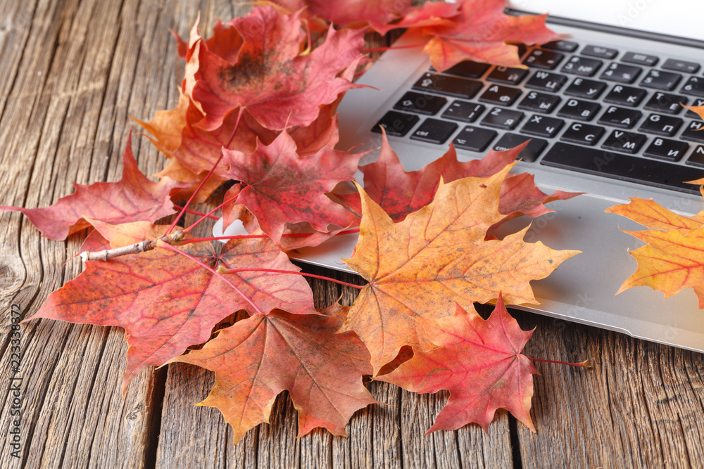 Workspace with yellow and red maple leaves. Desktop with laptop, fallen ...