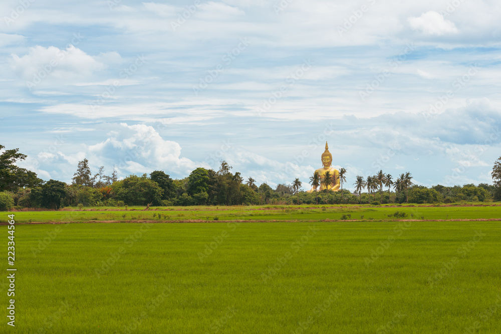 Big Golden Buddha statue at Wat Muang Temple angthong province Stock ...