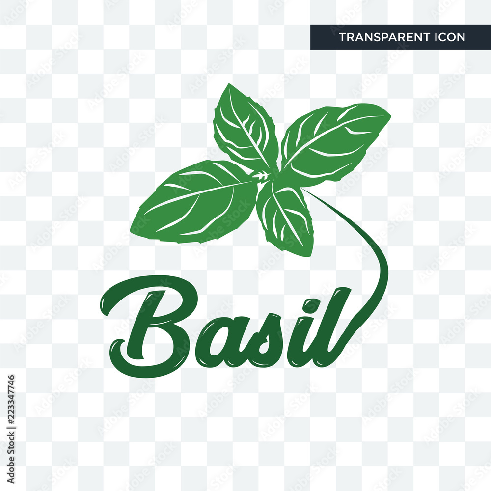 basil vector icon isolated on transparent background, basil logo design ...