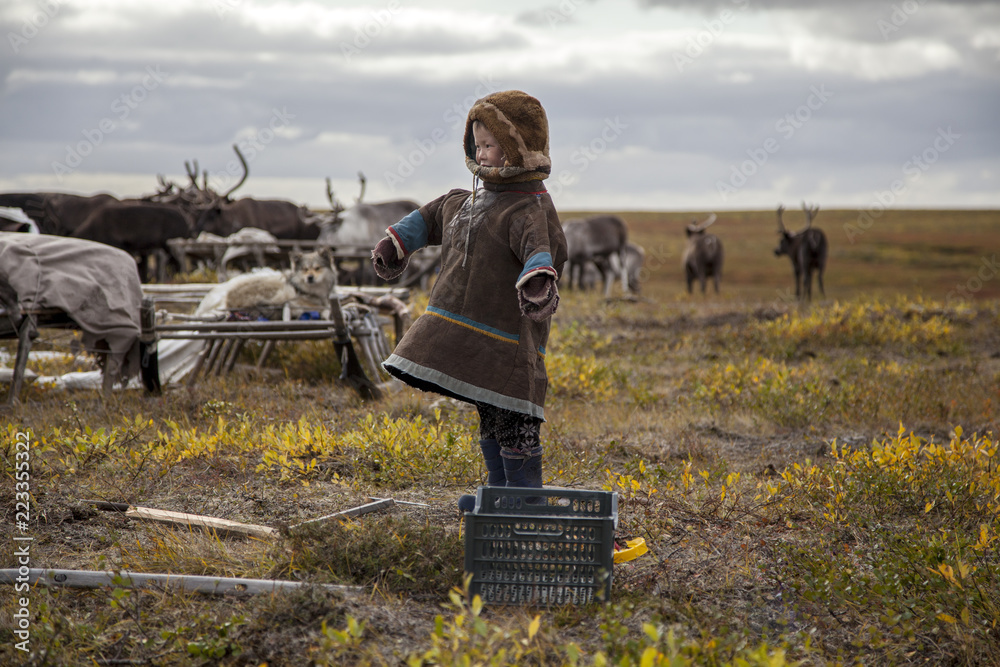 A resident of the tundra, indigenous residents of the Far North, tundra ...