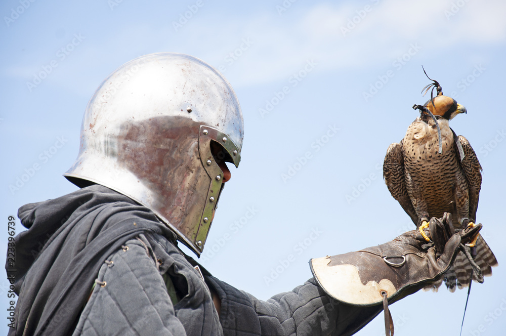 Person wearing a medieval helmet and carrying a peregrine falcon (Falco ...