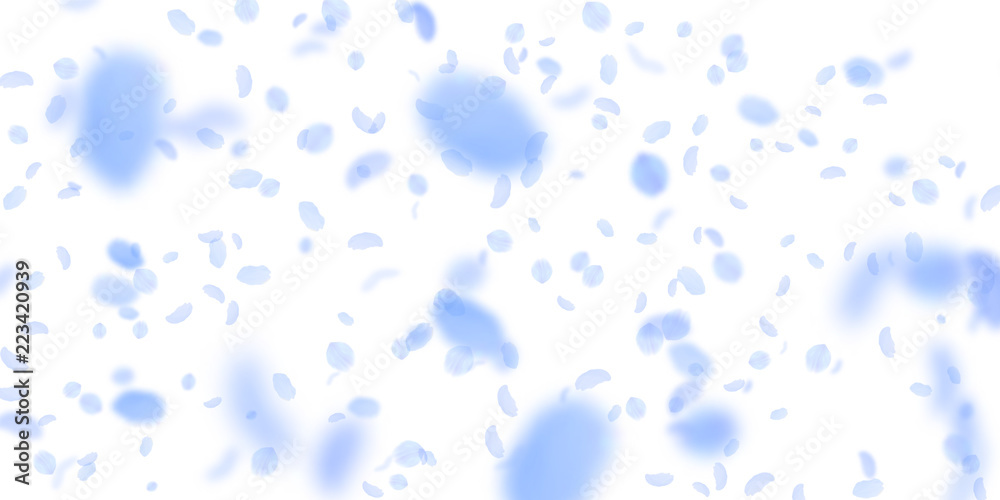 White Flower Petals Falling