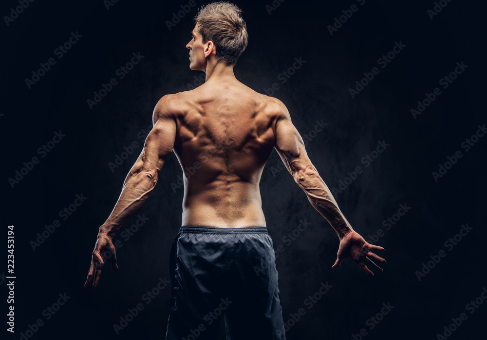 Back view of shirtless man with stylish hair and muscular ectomorph ...