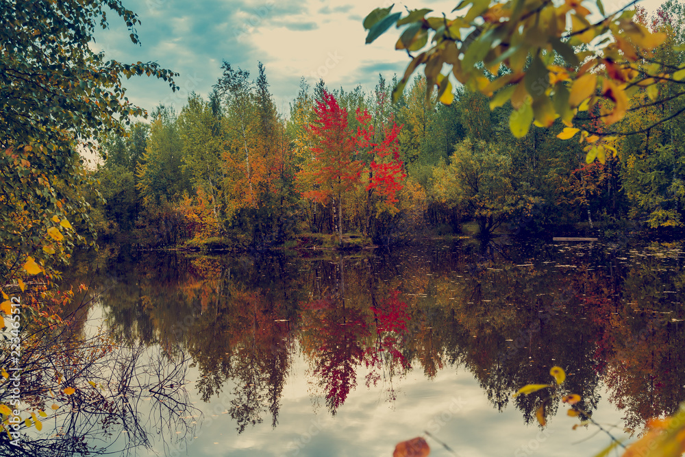 September landscape near the forest lake in the autumn day Stock Photo ...