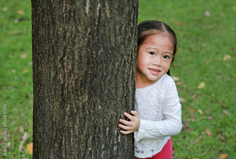 Little Asian child girl hugging a tree with her arms around the trunk ...