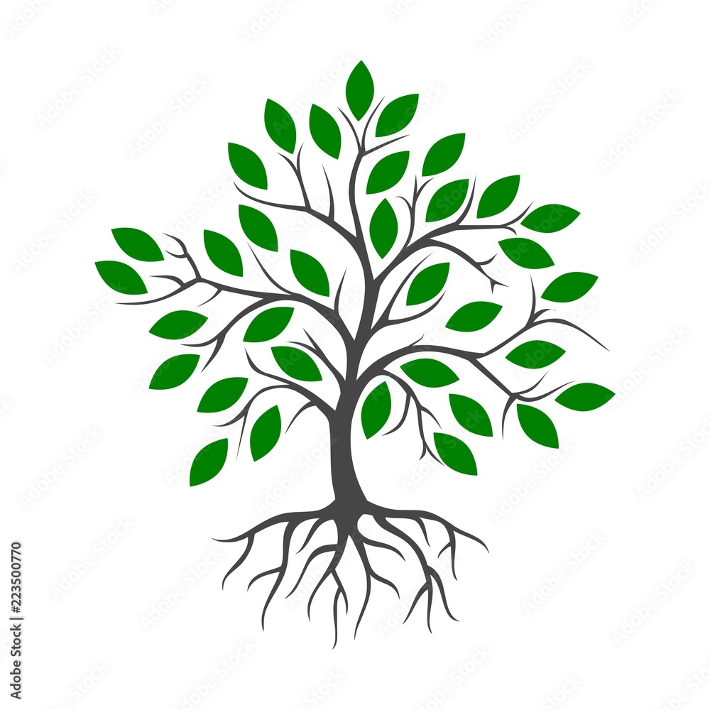 Tree and root icon Stock Illustration | Adobe Stock